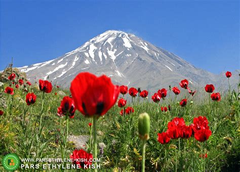 دانلود عکس طبیعت قله دماوند