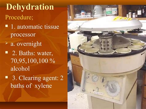 Principle Of Tissue Processing Ppt