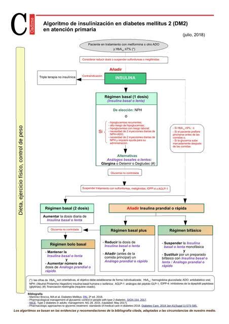 Insulina Algoritmo Karimedsnotes Udocz