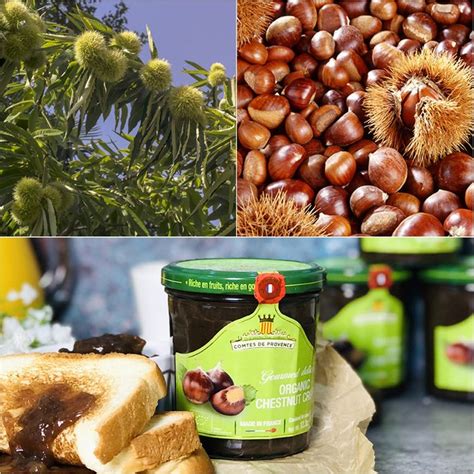 프로방스 프랑스산 유기농 밤 잼 체스넛 스프레드 전통방식 350g 홈플러스 택배배송