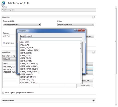 Asp Net IIS Rewrite Input Types Stack Overflow
