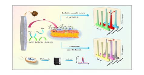 Cutting Edge Exploration Of A Molecularly Imprinted Polymer Coupled