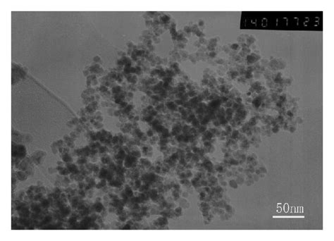 A TEM Images Of Fe O B TEM Images Of SF C TEM Images Of TSF Download Scientific