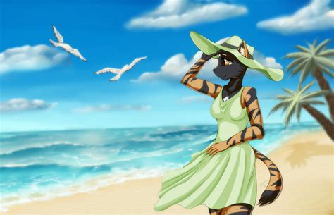 78270 Safe Artistshamziwhite Bird Cat Feline Mammal Seagull