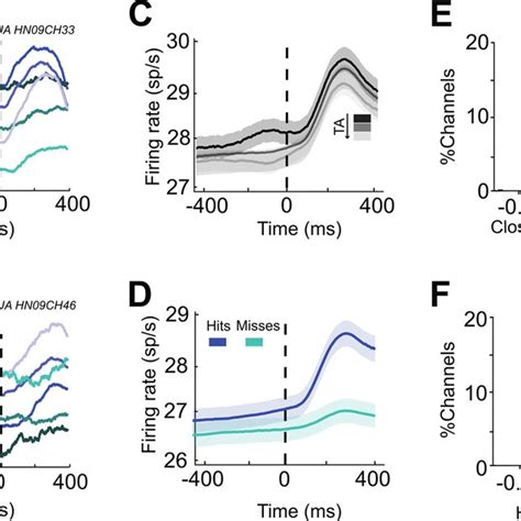 Methods A 100 Validity Cued Target Detection Task With Distractors Download Scientific