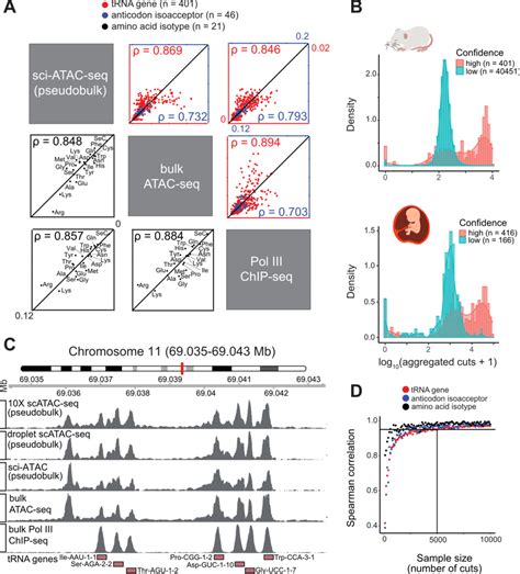 Single Cell Atac Sequencing Is Robust For Measuring Trna Gene Usage Download Scientific Diagram