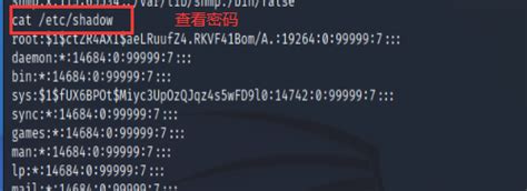 《网络攻击与防御》 Linux攻击实验（4）metasploit攻击linux Csdn博客