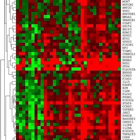 Hierarchical Clustering Based On Rna Expression Levels Of 127 Genes Out