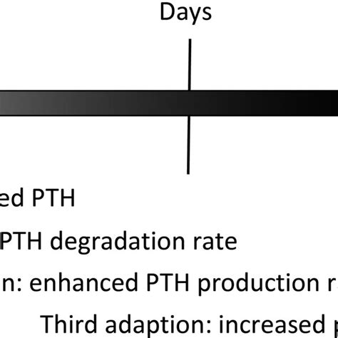 Schematic Timeline For Pth Secretory Rate Summarizing Results Presented Download Scientific