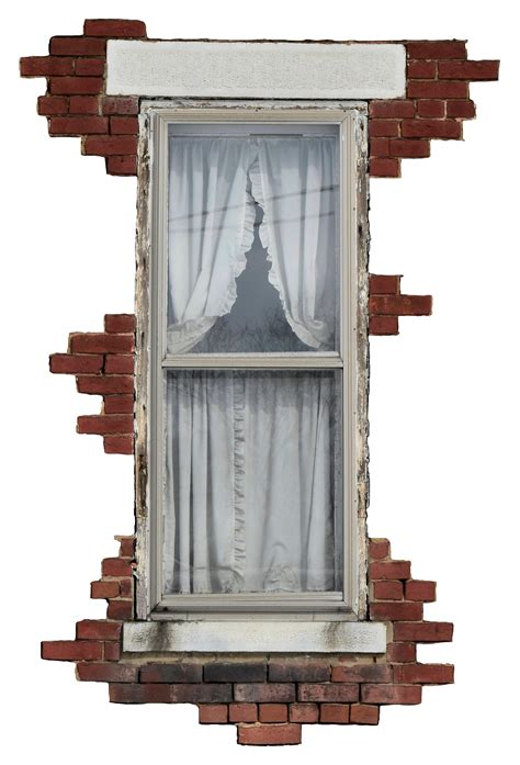 Window Decals For Home Ideas On Foter