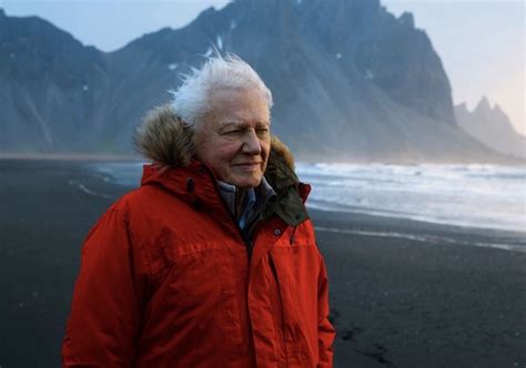 Best David Attenborough Quotes The Environment Show