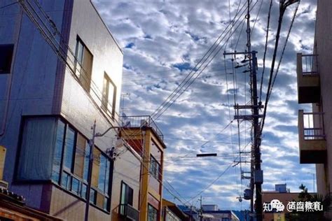 日本租房避雷指南！ 知乎
