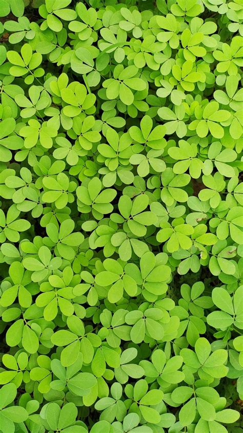 Suhani Choudhary On Linkedin I Took A Break From Screens And Went For