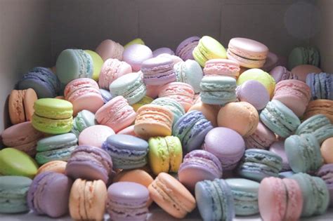 បាក់ឌុប វិញ្ញាសា ប្រវត្តិវិទ្យា ២០១៦ Credit ជៀប គន្ធា Facebook