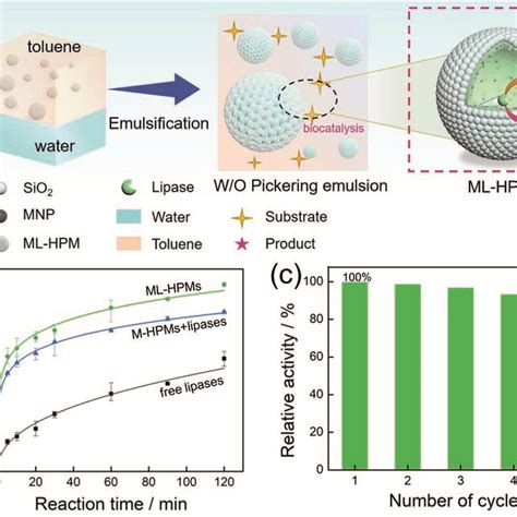 A Schematic Illustration Of Interfacial Catalysis In The