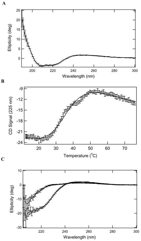 The Functional Importance Of The N Terminal Region Of Human