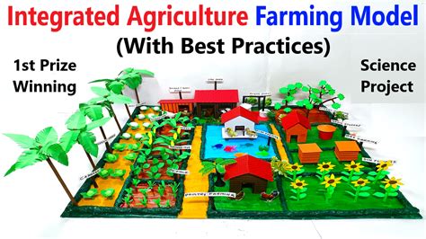 How To Make Integrated Agriculture Farming Model Science Projects