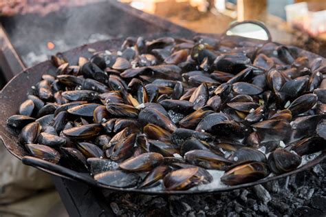 그릴 팬에 신선한 홍합입니다 해산물 바베 큐 야외입니다 피크닉 건강 한 음식 껍질 홍합입니다 대형 금속 냄비 요리는 홍합 껍질 많이 강에 대한 스톡 사진 및 기타 이미지