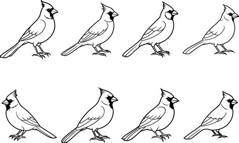 Cardinal Outline Vector Art Icons And Graphics For Free Download