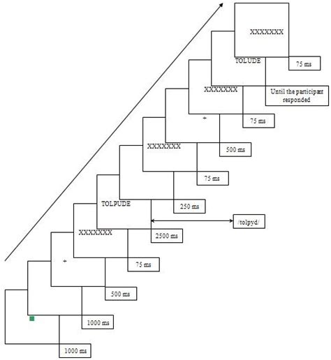 Illustration Of The Setup Of Experiment Download Scientific Diagram