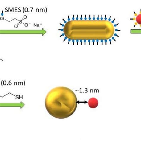 Schematic Representation Of The Preparation Of The Hybrid Structures Download Scientific