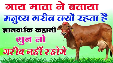 गाय माता ने बताया मनुष्य गरीब क्यों रहता है सुन लो गरीब नहीं रहोगे