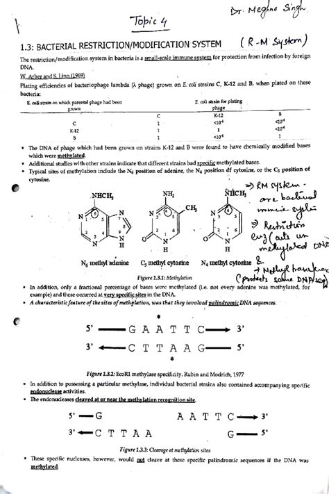 Bacterial Restriction Or Modification System 1 Bacterial Restrictionmodification System The