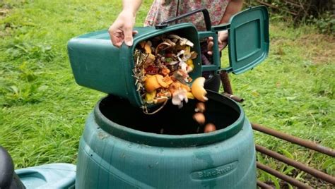 Composting Troubleshooting A Comprehensive Guide