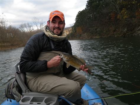 Late Fall Smallmouth Bass The View From Harrys Window A Fly