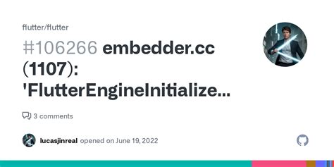 Embeddercc 1107 Flutterengineinitialize Returned Kinvalidarguments The Assets Path In