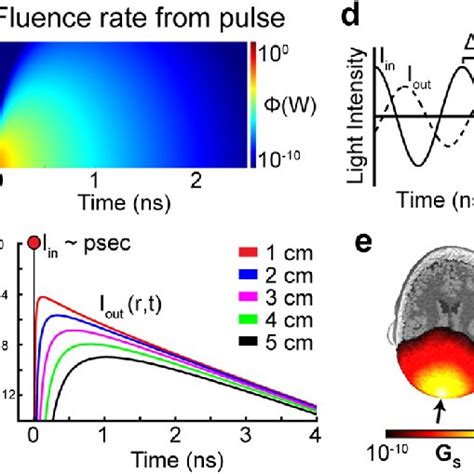 Modeling Photon Diffusion Through Biological Tissue A Schematic Download Scientific Diagram