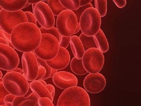 血色素 快懂百科