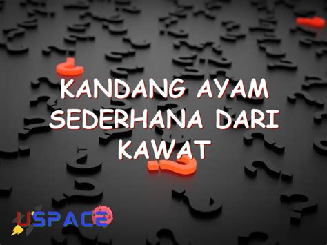 Kandang Ayam Sederhana Dari Kawat Uspaceid