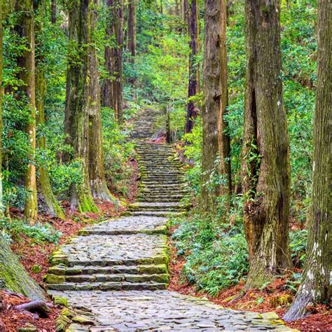 Kumano Kodo Paths On The Road To A Pilgrimage To Japan Roppongi