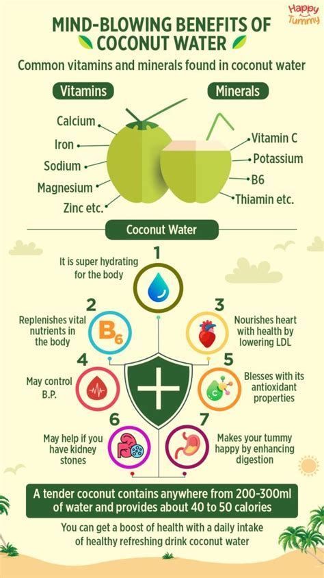 Benefits Of Drinking Rum And Coconut Waterdownload It From Benefits Of