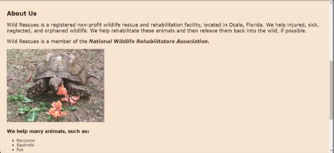 Solved 1 In Your Rescue Folder And Create A New Subfolder