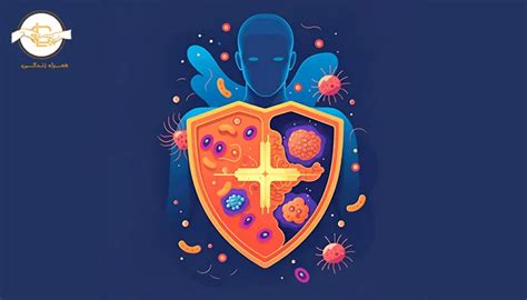 همه چیز درباره سیستم ایمنی بدن نقشی حیاتی در سلامت انسان همراه زندگی من