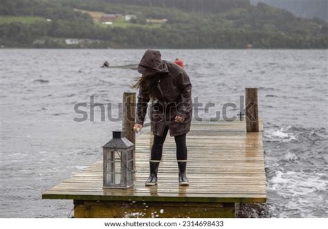 Tree Bending In The Wind Images Stock Photos D Objects Vectors Shutterstock