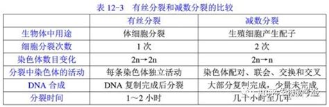 细胞生物学高频考点（十六）之减数分裂内容及思维导图 知乎