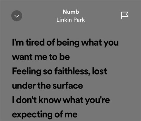 Most Relatable Lyrics From Numb Linkin Park Mine Rlinkinpark