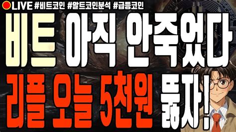 실시간 비트 아직 죽지 않았다 리플 오늘 5천원 뚫자 알트코인 시바이누코인 유엑스링크 모카버스 어드벤처골드 폭락 1월 16일 저녁 라이브 비트코인 불장 Youtube