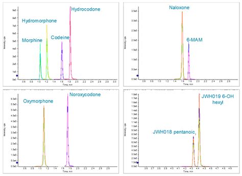 Elevating The Forensic Laboratory Performance