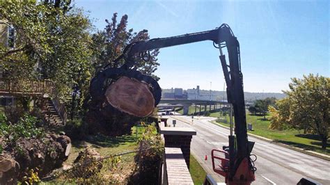 Tree Removal Kansas City Tree Removal Overland Park KS