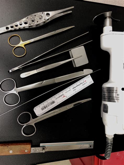 Forensic Pathologyautopsy — Pathelective