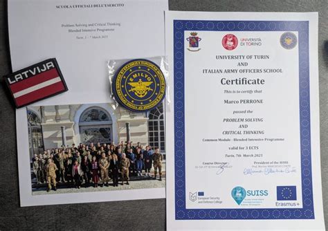 Bip Problem Solving And Critical Thinking An Extraordinary Experience Marco Perrone