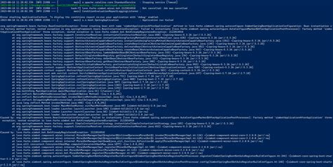 在idea中可以正常运行，打包后使用java Jar启动提示bot Verify Info Xxx Registration Failed Or Start Failed错误 ·