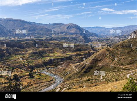 Agricultural Terraces In The Colca Canyon Valley Viewed From The