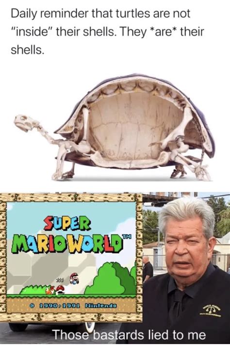 38 Cool Pics And Memes To Click Away Your Boredom With Ebaums World