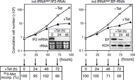 Inducible Trna Expression Combined With Rnai Growth Curve Of A Download Scientific Diagram