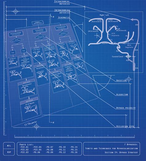 Aca Bypass Strategy Neupsy Key